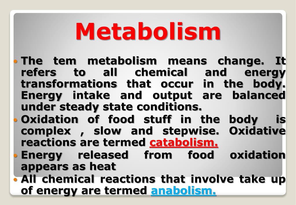 PPT - Energy Balance & Metabolism PowerPoint Presentation, free ...