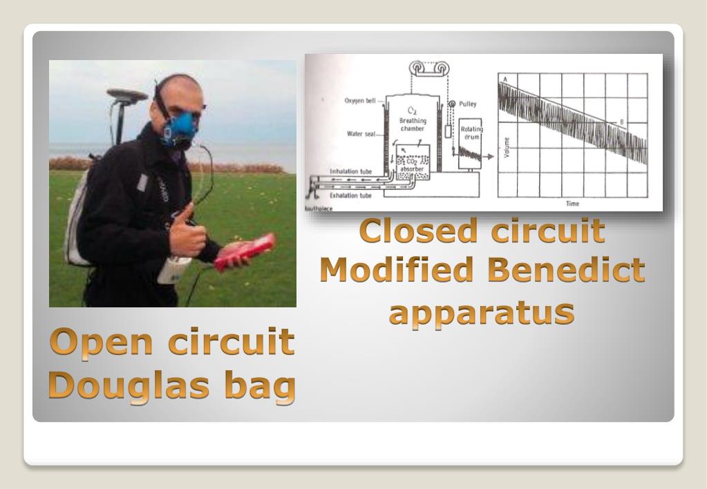 PPT - Energy Balance & Metabolism PowerPoint Presentation, free ...