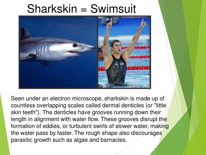 PPT - Biomimicry PowerPoint Presentation - ID:2232089