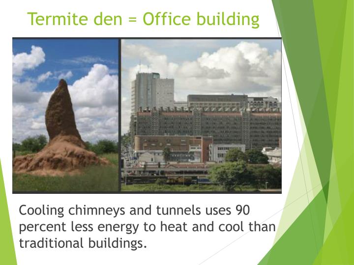 PPT - Biomimicry PowerPoint Presentation - ID:2232089