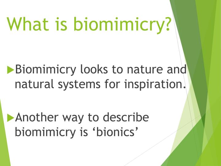 PPT - Biomimicry PowerPoint Presentation - ID:2232089