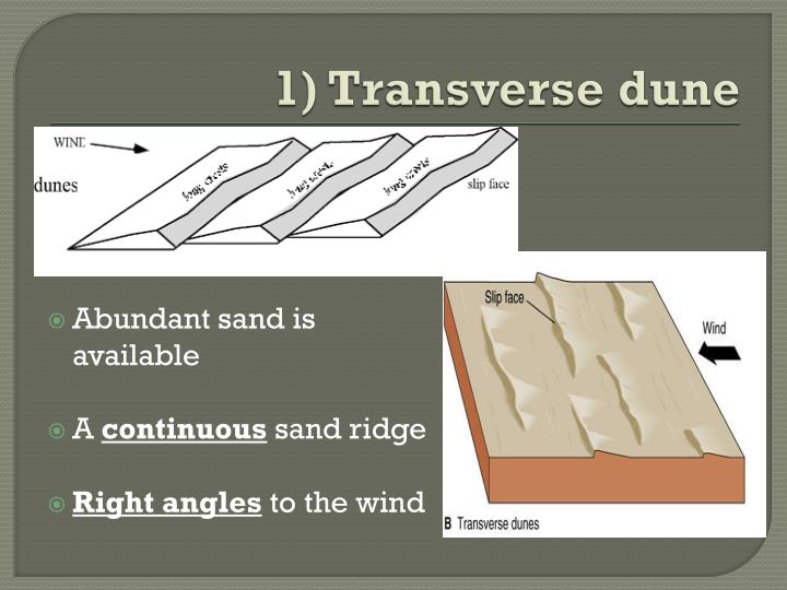 PPT - Deserts PowerPoint Presentation - ID:2232092