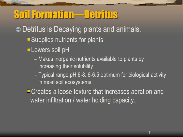 PPT - Soil and the Soil Ecosystem PowerPoint Presentation - ID:2232414