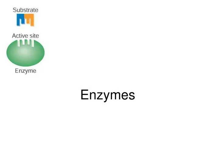 Ppt Enzymes Powerpoint Presentation Free Download Id 2232496
