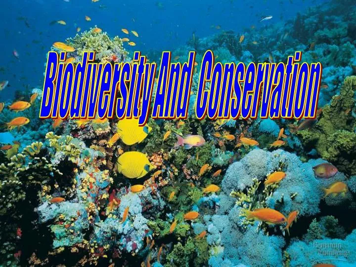 PPT - Biodiversity And Conservation PowerPoint Presentation, free ...