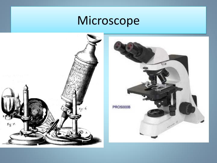 PPT - The Scientific Revolution Review Questions PowerPoint ...