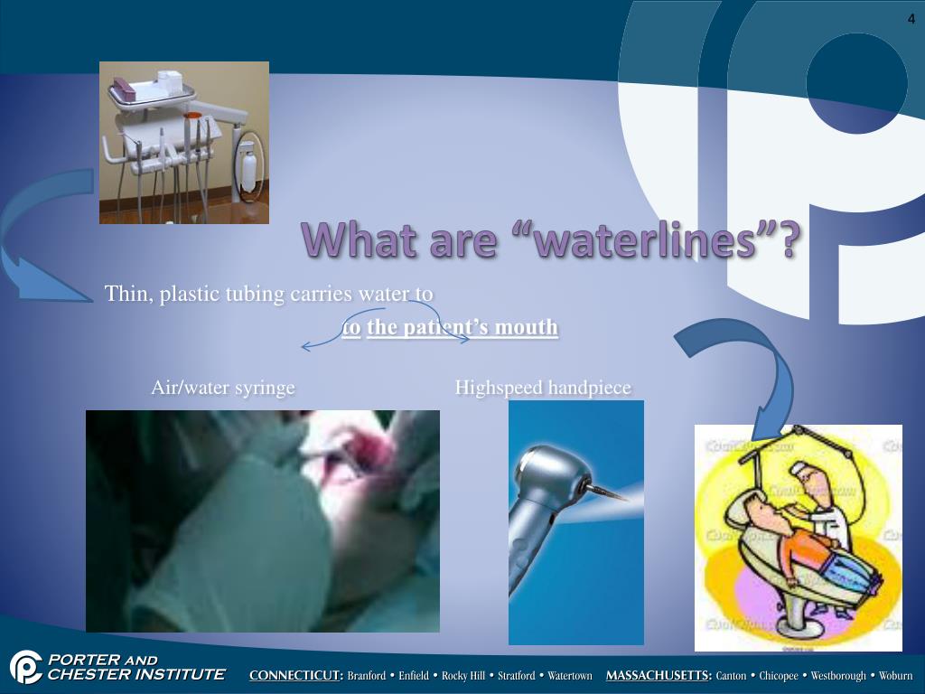 PPT - Waterlines, Biofilms and Water Quality PowerPoint Presentation ...