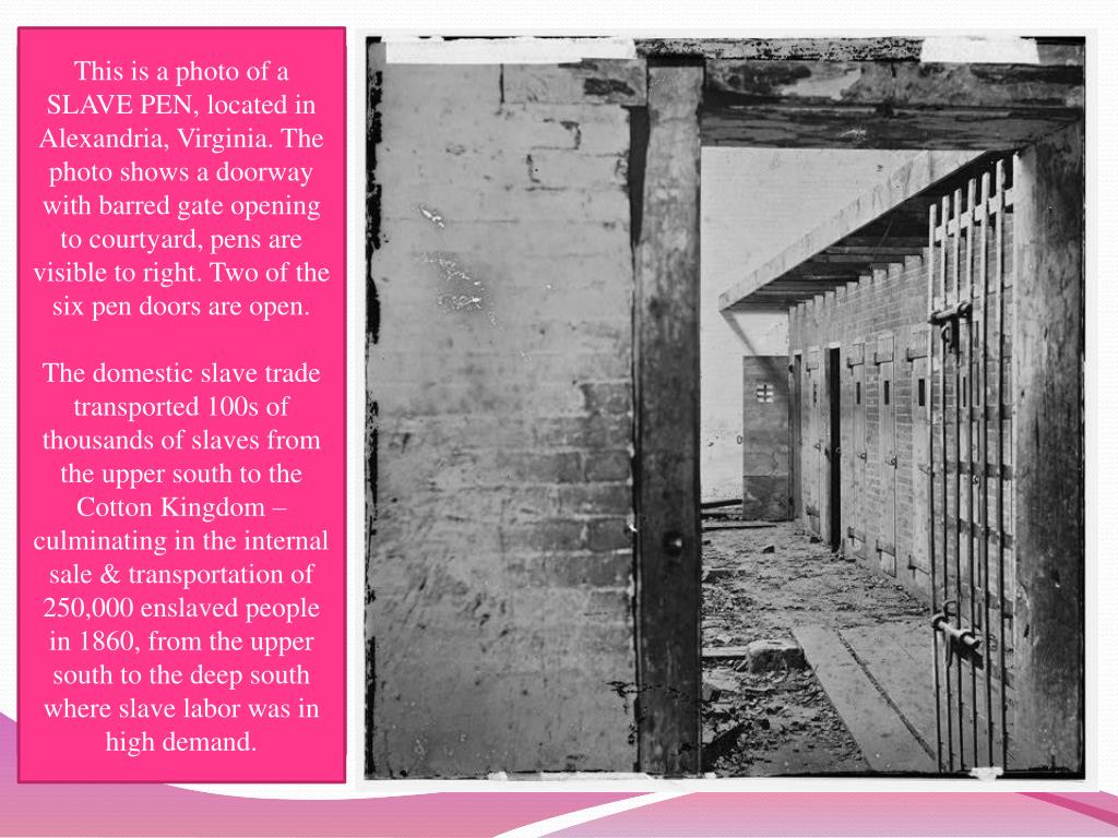 PPT - Slavery in the Antebellum South 1820 - 1860 PowerPoint ...