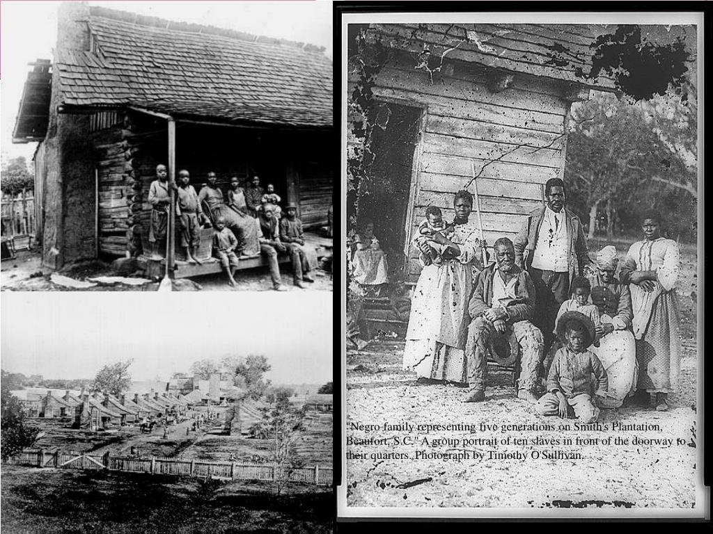 PPT - Slavery in the Antebellum South 1820 - 1860 PowerPoint ...