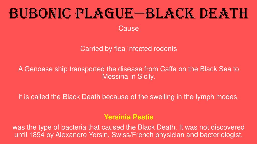PPT - Social and Economic Consequences of the Bubonic Plague Black ...