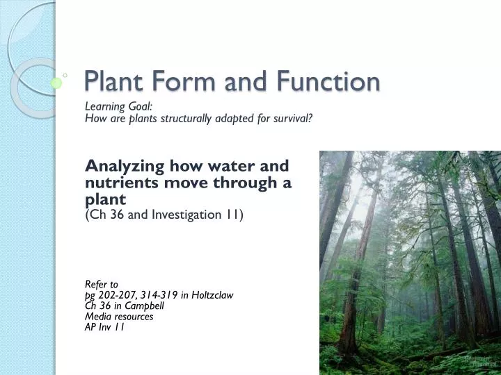 PPT - Plant Form and Function PowerPoint Presentation, free download ...