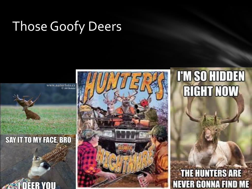 PPT - White Tailed Deer By:Kamden McQuaid Odocoileus Virginianus ...