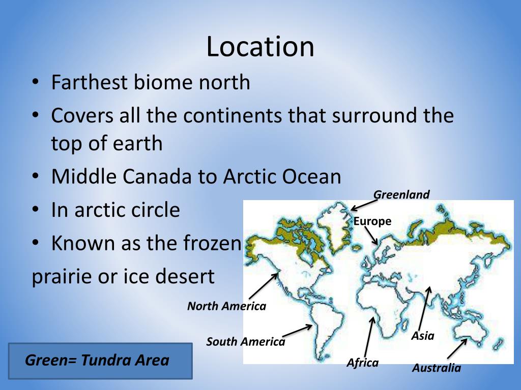 PPT - By: Kyle Meakim, Danny Pavlovsky, Ariel Meltser, Nikki Gallant ...