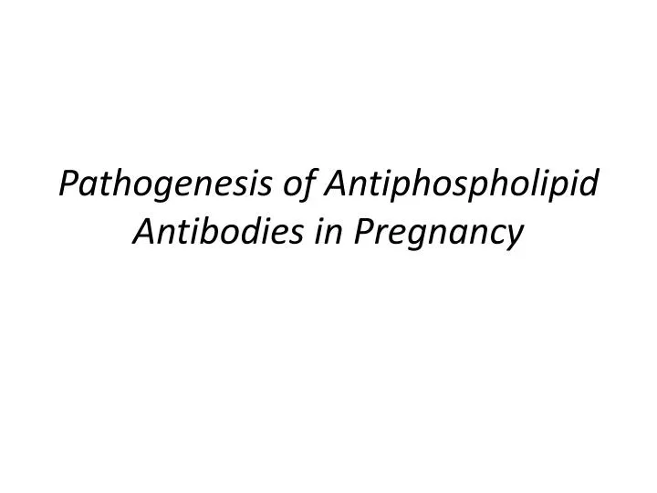 Ppt Pathogenesis Of Antiphospholipid Antibodies In Pregnancy
