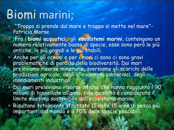 PPT - Biodiversità PowerPoint Presentation - ID:2237113