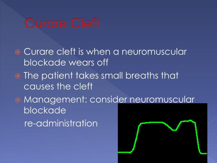 PPT - CAPNOGRAPHY PowerPoint Presentation - ID:2237765