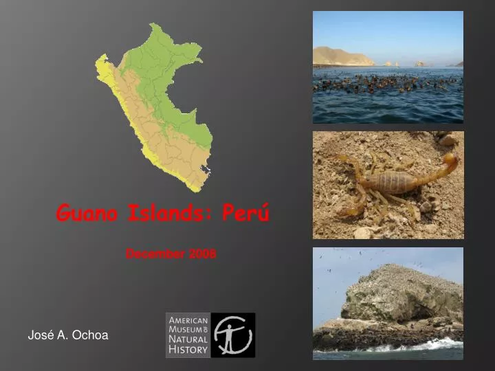 PPT - Guano Islands: Perú PowerPoint Presentation, free download - ID ...