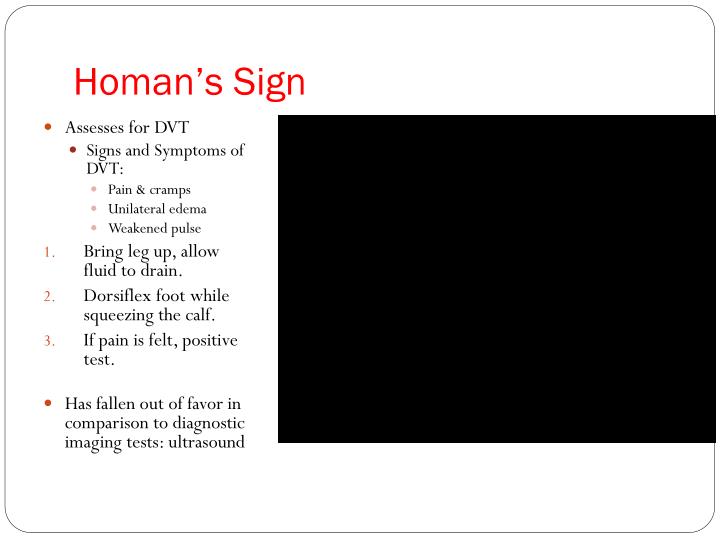 PPT - cardiovascular assessment PowerPoint Presentation - ID:2238066