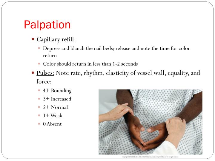 PPT - cardiovascular assessment PowerPoint Presentation - ID:2238066