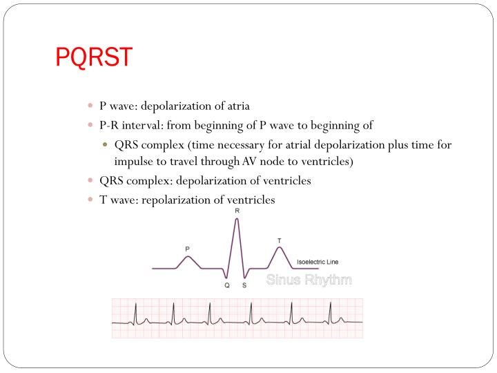 PPT - cardiovascular assessment PowerPoint Presentation - ID:2238066