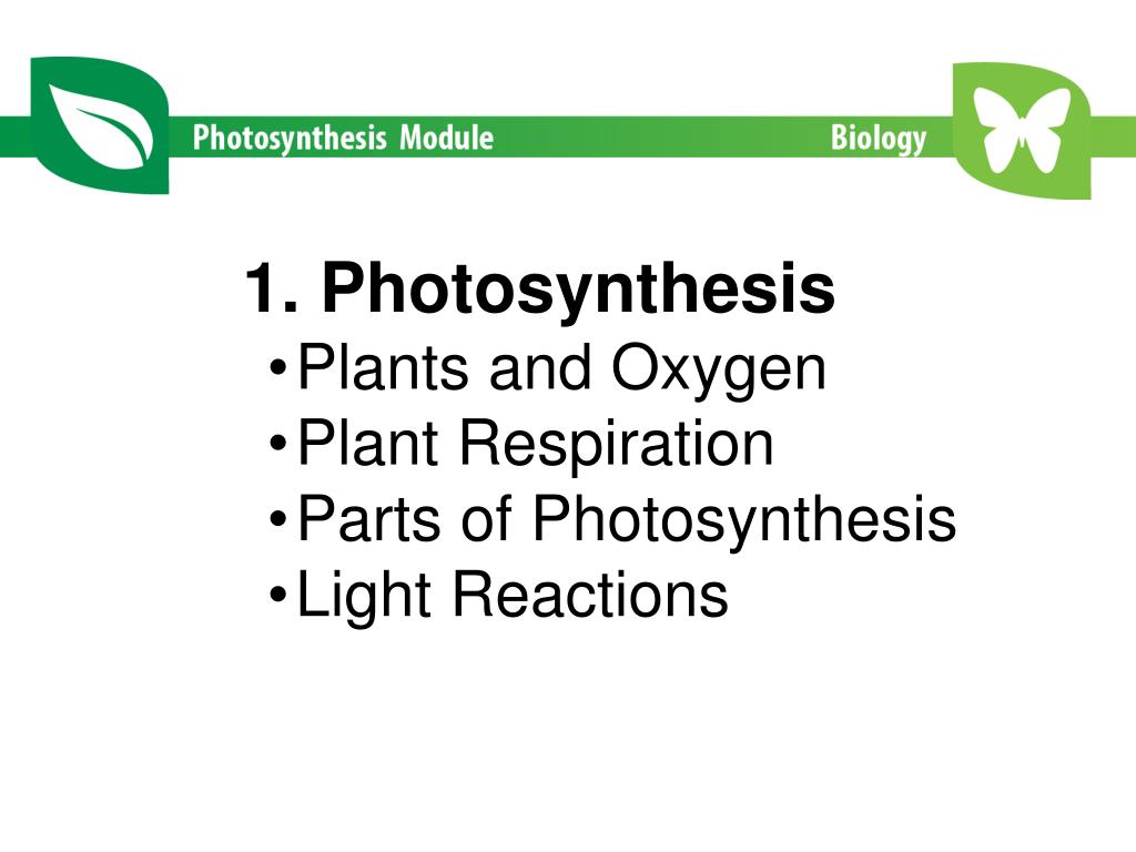 PPT - 1. Photosynthesis Plants and Oxygen Plant Respiration Parts of ...