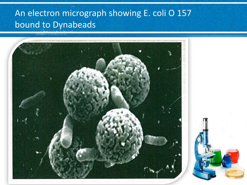 PPT - University of Gaza Faculty of Health Science Medical laboratory ...