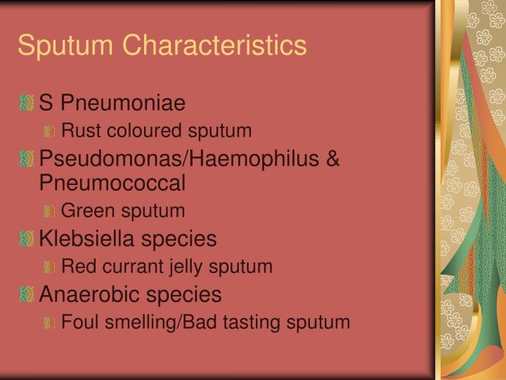 PPT - Pneumonia 101 PowerPoint Presentation - ID:2238807