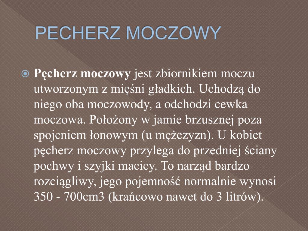 PPT - UKŁAD MOCZOWO- PŁCIOWY PowerPoint Presentation, free download ...