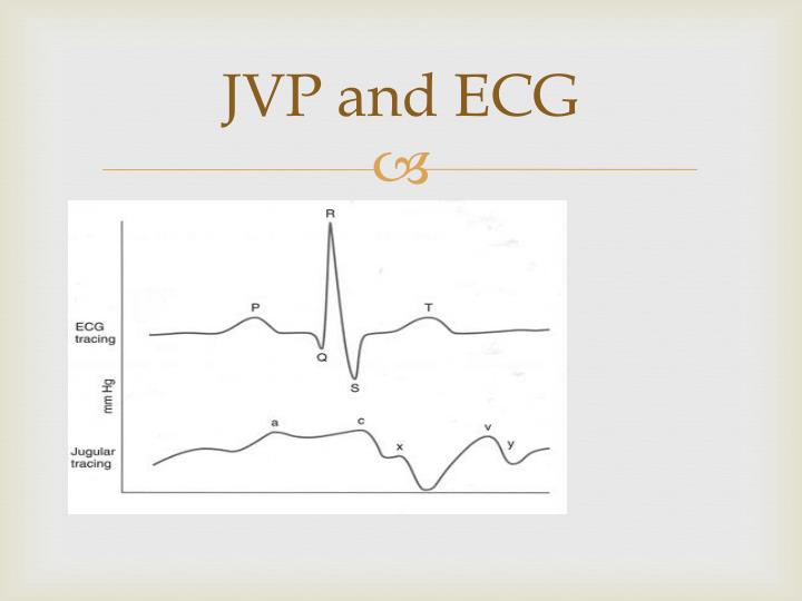 PPT - Jugular venous pressure and carotid arterial pressure PowerPoint ...