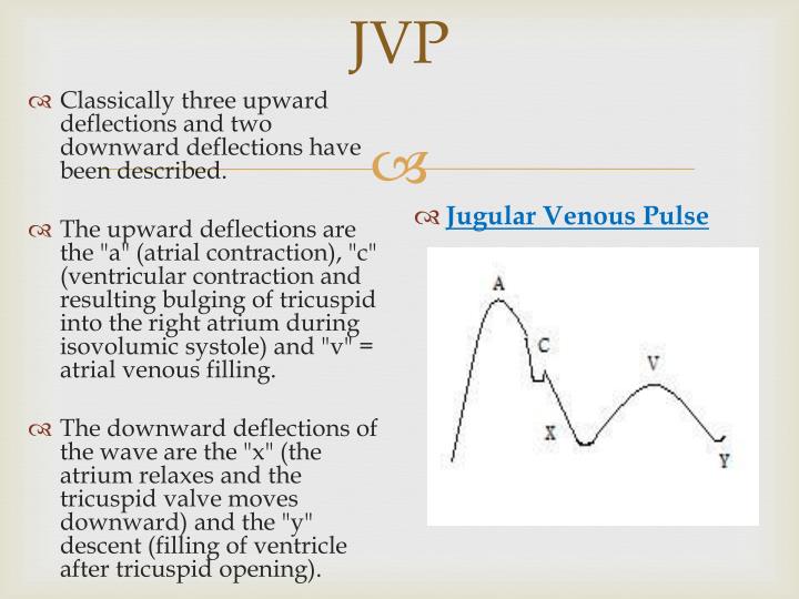 PPT - Jugular venous pressure and carotid arterial pressure PowerPoint ...