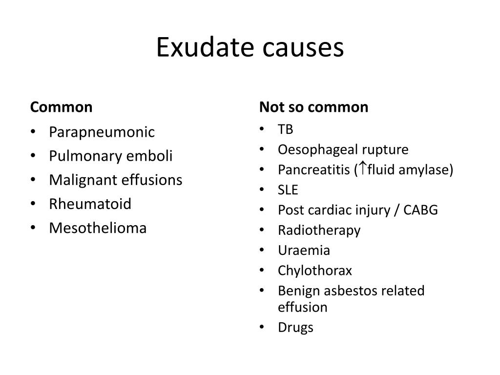 PPT - Clinical Aspects of Pleural Disease PowerPoint Presentation, free ...