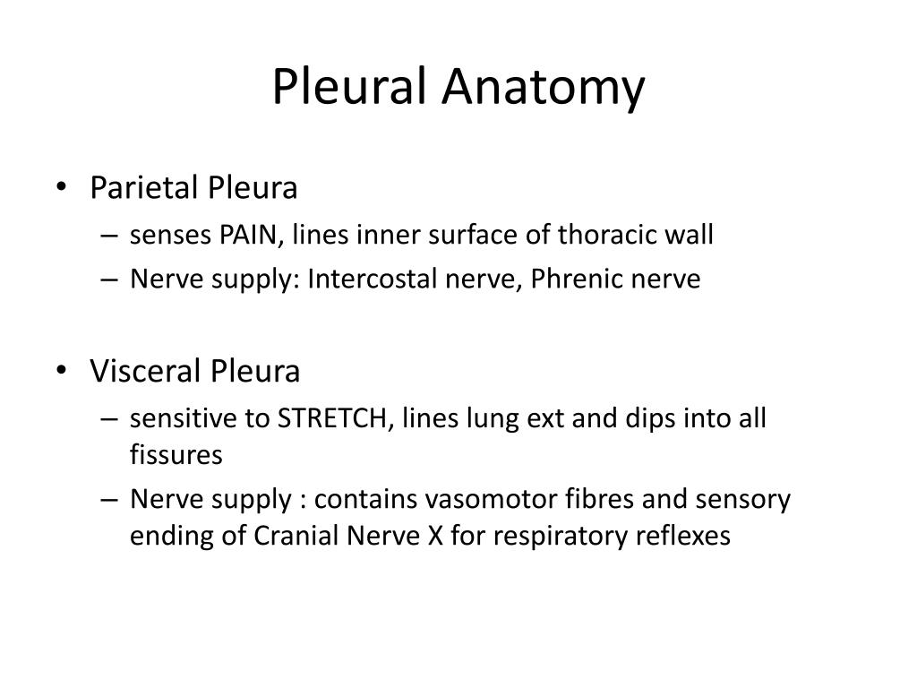 PPT - Clinical Aspects of Pleural Disease PowerPoint Presentation, free ...