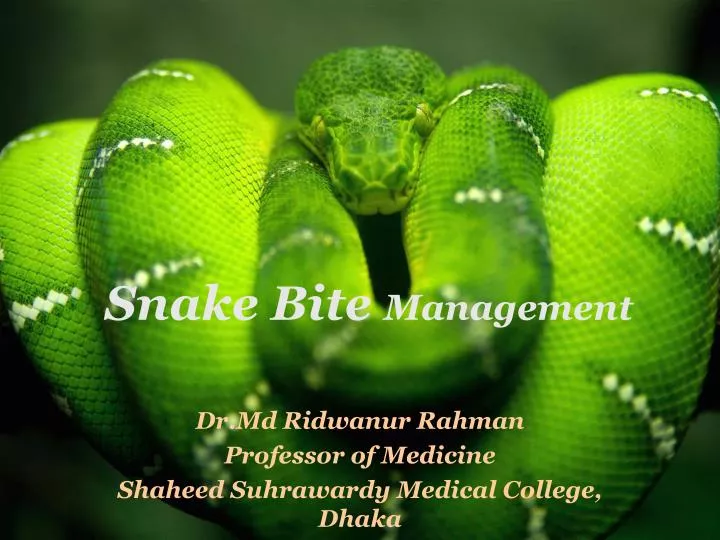 PPT - Snake Bite Management PowerPoint Presentation, free download - ID ...