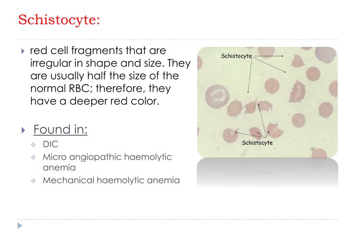 PPT - Practical of Clinical Hematology PowerPoint Presentation - ID:2238955