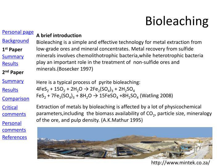 PPT - Bioleaching PowerPoint Presentation - ID:2239029