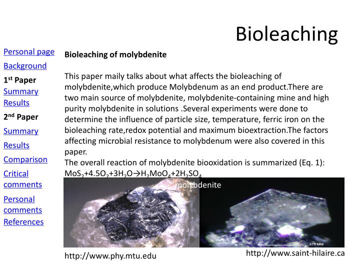 PPT - Bioleaching PowerPoint Presentation - ID:2239029