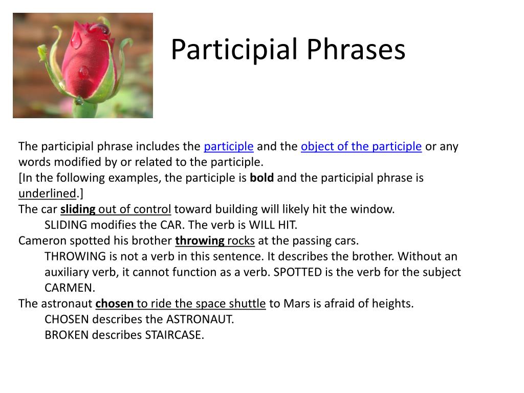 PPT - The Garden of Phrases PowerPoint Presentation, free download - ID ...