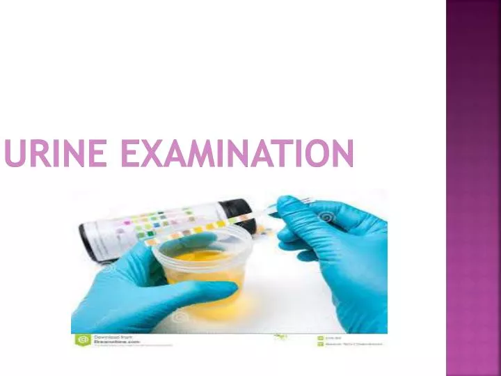 Urine Analysis Hematology Slides