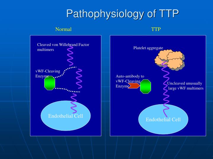 PPT - Plasmapheresis PowerPoint Presentation - ID:2240329