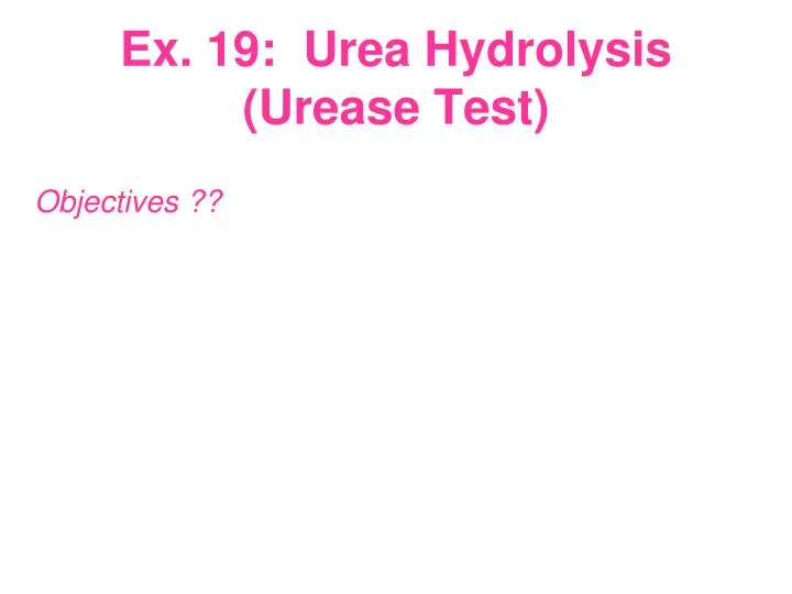 PPT - Ex. 19: Urea Hydrolysis ( Urease Test) PowerPoint Presentation ...
