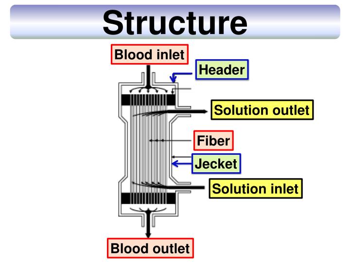 PPT - Dialyzer Selection PowerPoint Presentation - ID:2240397