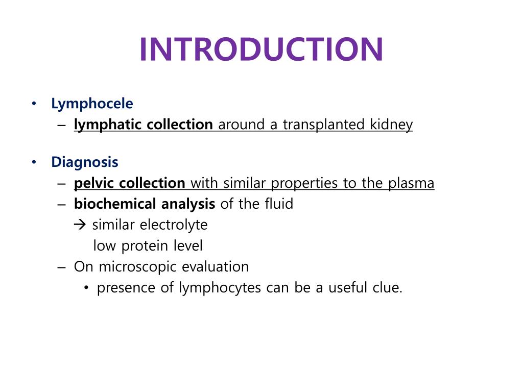 PPT - “ Lymphocele ” After Kidney Transplantation PowerPoint ...