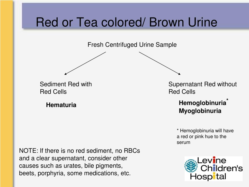 PPT - Metro New York / New Jersey Pediatric Board Review Course ...
