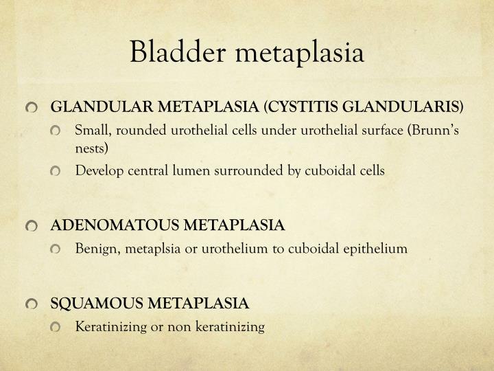 PPT - RAD 240 Pathology PowerPoint Presentation - ID:2240500