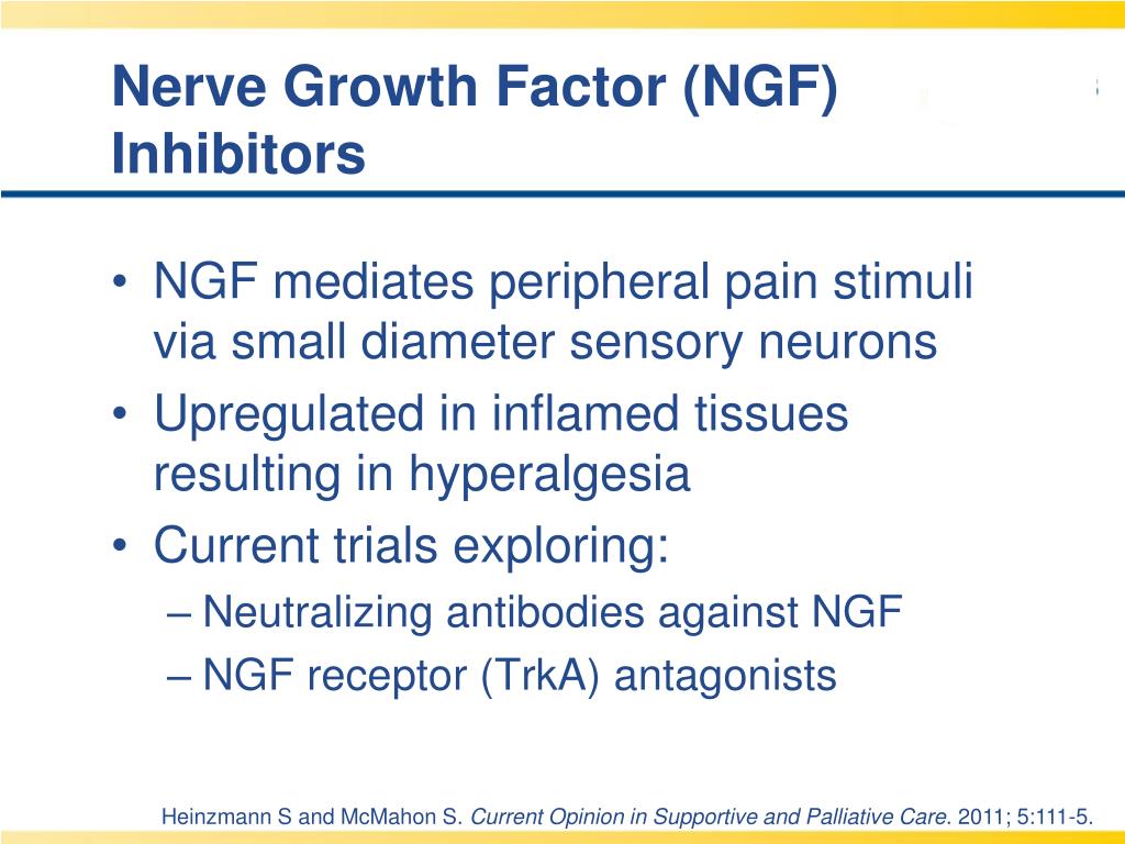 PPT - Opioid Pharmacogenomics: The Path to Personalized Medicine ...