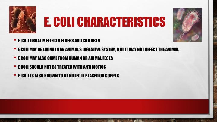 PPT - The Outbreak of E.coli PowerPoint Presentation - ID:2240875