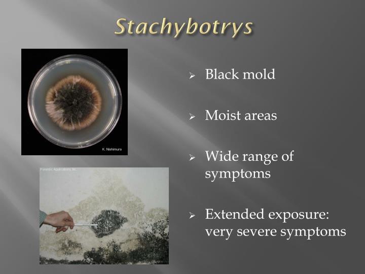 PPT - Indoor Air Quality PowerPoint Presentation - ID:2240876