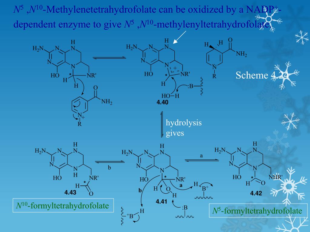 PPT - The Organic Chemistry of Drug Design and Drug Action PowerPoint ...