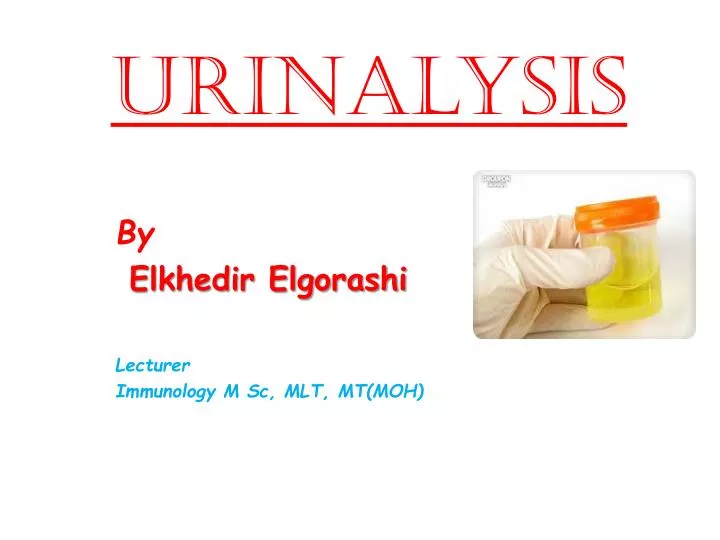 PPT - Urinalysis PowerPoint Presentation, free download - ID:2240979