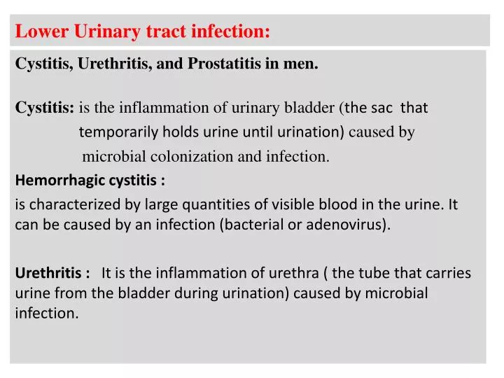 PPT - Lower Urinary tract infection: PowerPoint Presentation, free ...